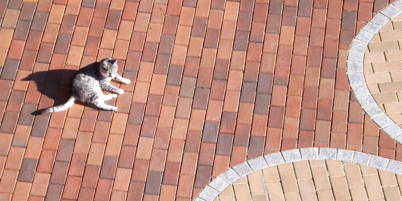 Landscaping & Paving